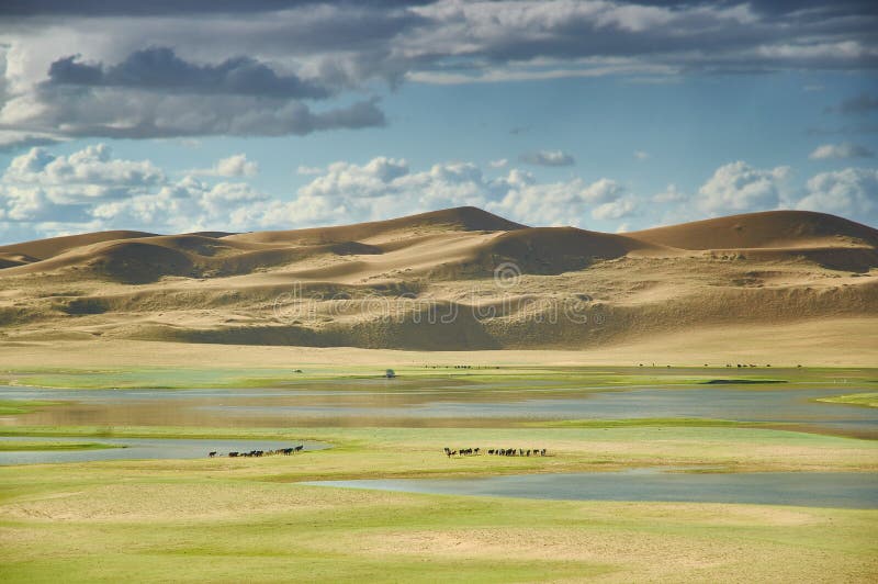 Sand Dunes of Lake Durgen Nuur Stock Image - Image of duut, landmark ...