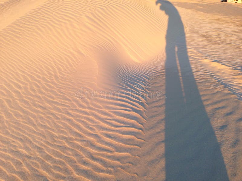 Sand Dunes In Lancelin Perth Australia Picture. Image: 44435827