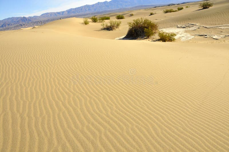 Sand Dunes Landscape 2 stock photo. Image of resource - 12183954