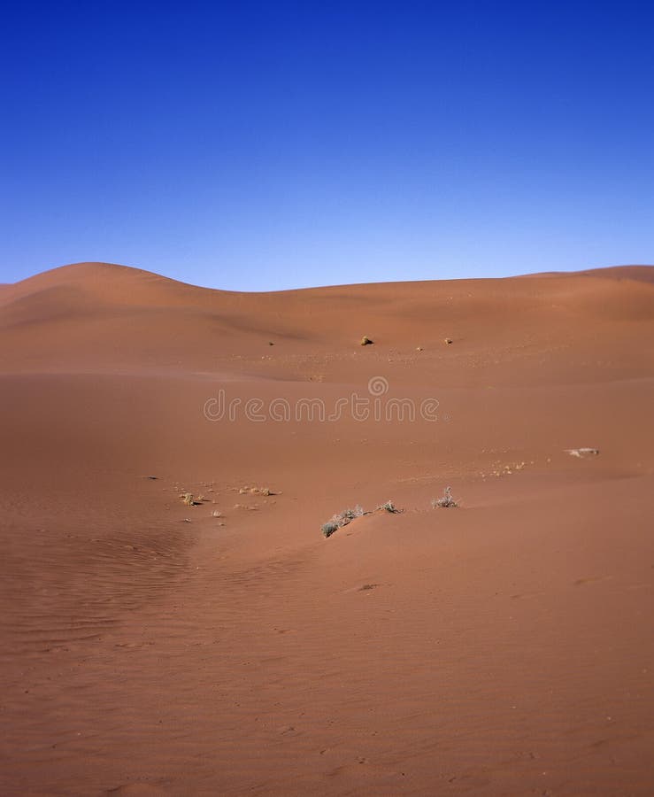 Sand Dunes in Namib Desert, Namibia Stock Photo - Image of scenery ...