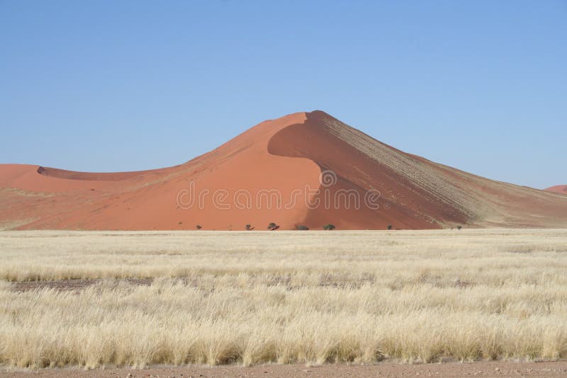 Sand dunes, Namibia stock photo. Image of dunes, desert - 59476648