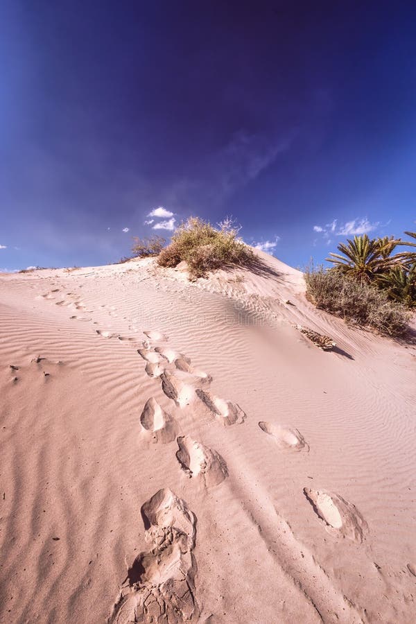 Sand Dunes in National Park of Nabq, Sharm El Sheikh, Egypt Stock Photo ...