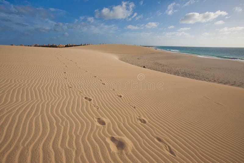Sand dunes near the ocean stock image. Image of background - 13106905