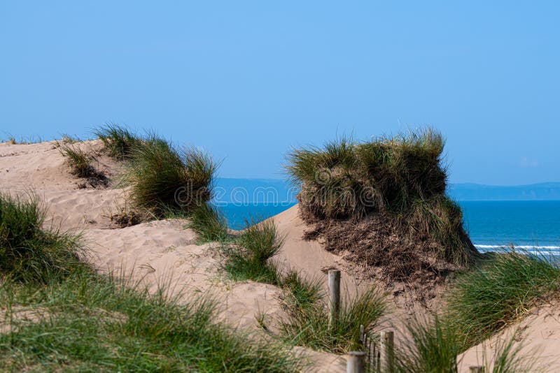 Sand Dunes at Northam Burrows, North Devon Stock Image - Image of ...