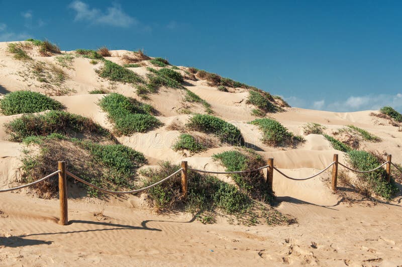 Sand Dunes. the Protected Environment Stock Photo - Image of nature ...