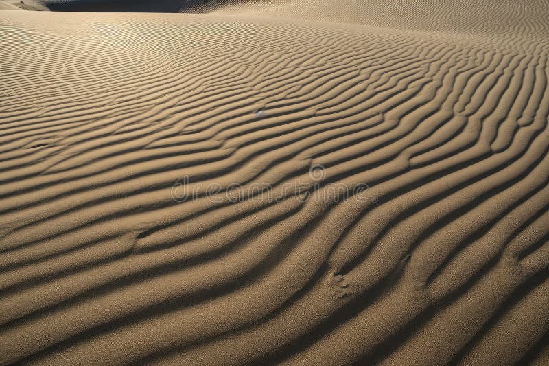 Sand Dunes with Repeating Patterns of Lines and Curves Stock ...