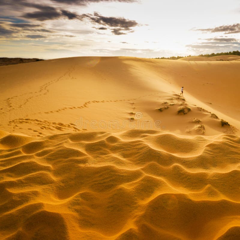 Sand Dunes and a Running Man on the Hot Sand Stock Image - Image of ...