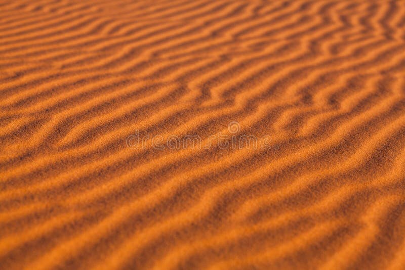 Sand Dunes in Sahara Desert, Morocco Stock Image - Image of ripple ...