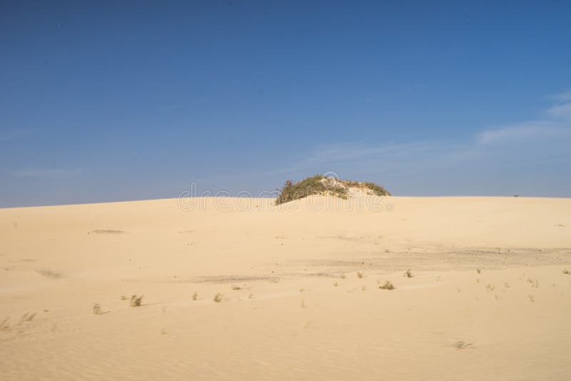 Sand Dunes on the Seashore of the Islands on the Atlantic Ocean Stock ...