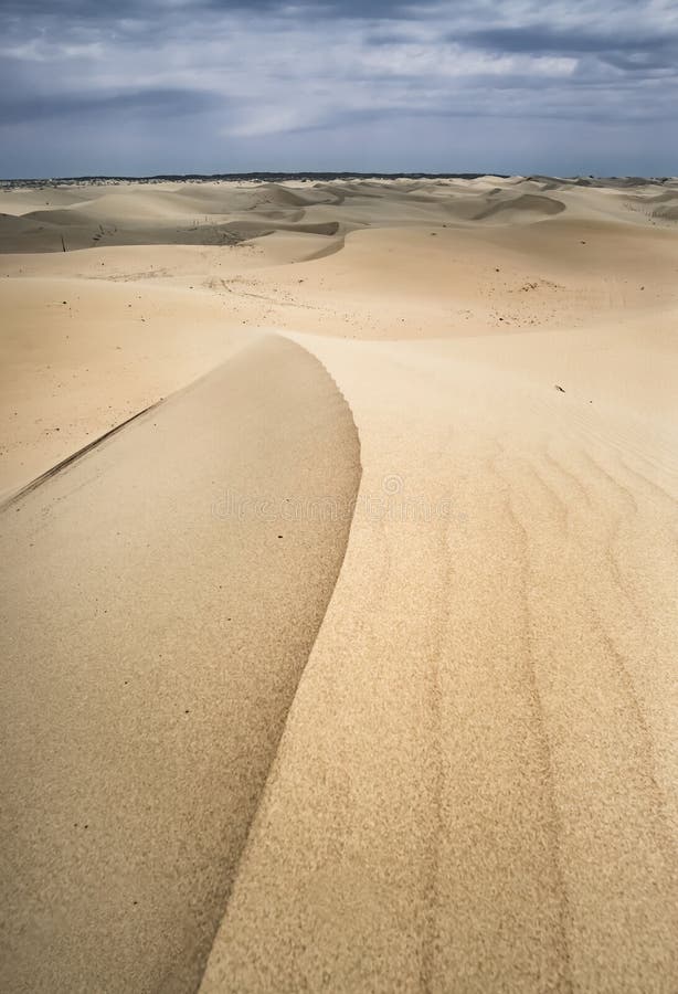 Sand Dunes in the Senek Desert in the Kazakh Desert Stock Image - Image ...