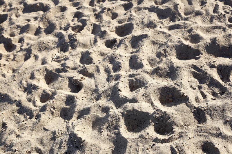 Sand Dunes, Sand with Shadow and Footprints, Sandy Area, Germany Stock ...