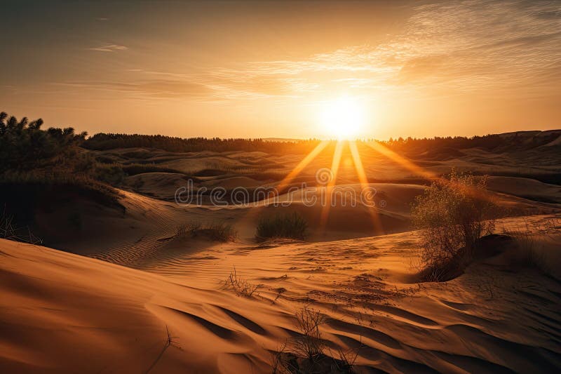 Sand Dunes with the Sun Setting in the Background, Casting Beautiful ...
