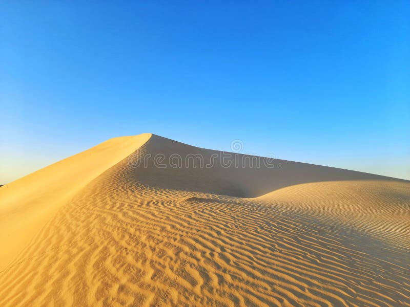 Sand Dunes in Sunny Day in Desert of Algeria Stock Photo - Image of ...