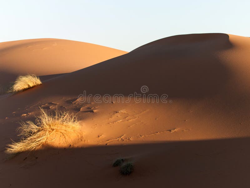 Sand dunes at sunset stock image. Image of terrain, locations - 29624661
