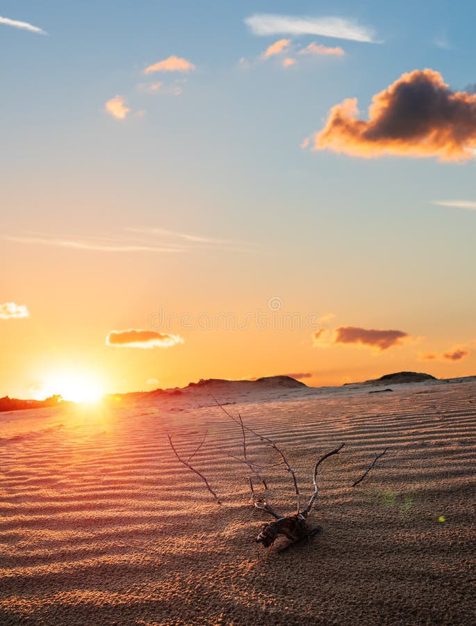 Sand Dunes during Sunset. Desert in the Rays of the Setting Sun Stock ...