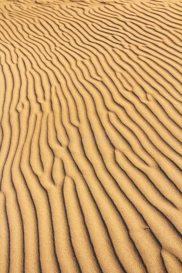 Sand dunes texture stock image. Image of deserted, natural - 28856685