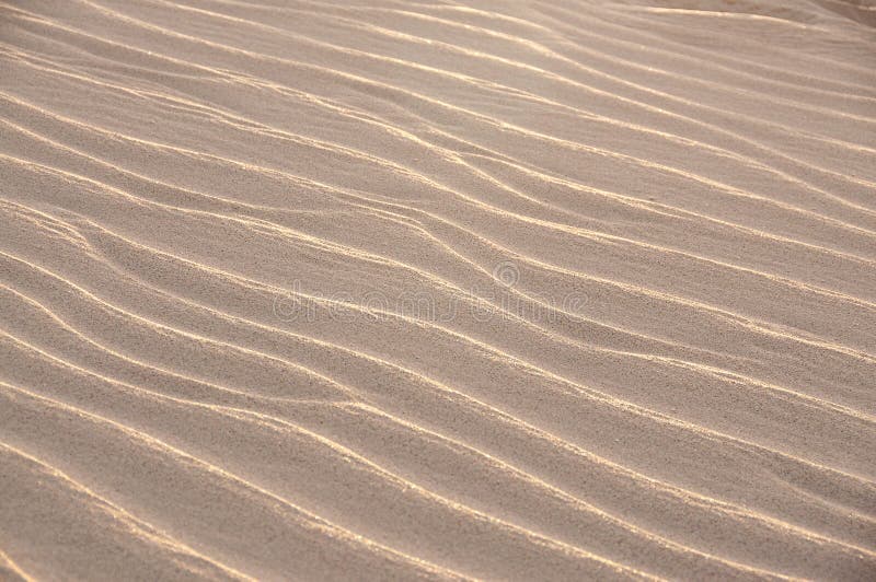 Sand dunes texture. stock photo. Image of travel, sand - 315399128