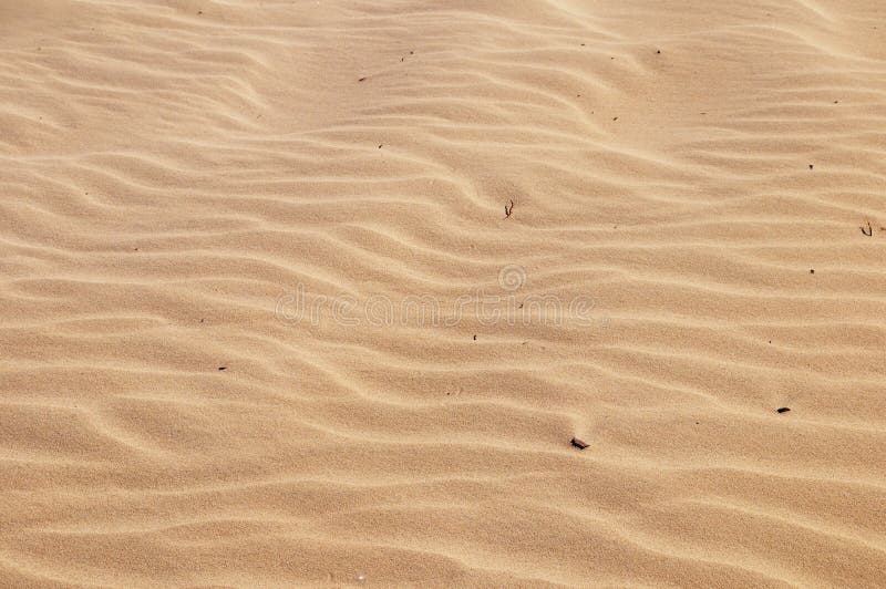 Sand dunes texture stock photo. Image of dune, soil, shore - 5919126