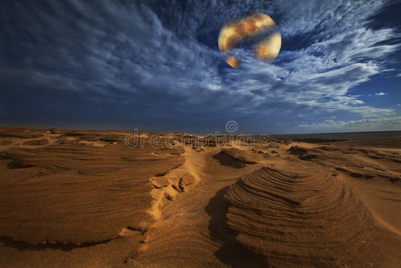 Drift Wood at Sunset on Sandy Beach and Full Moon Stock Image - Image ...