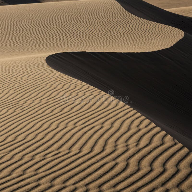 Sand Dunes with Undulating Patterns and Ripples in a Desert Landscape ...