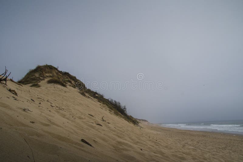 Sand Dunes with Vegetation on the Beach Stock Photo - Image of nature ...