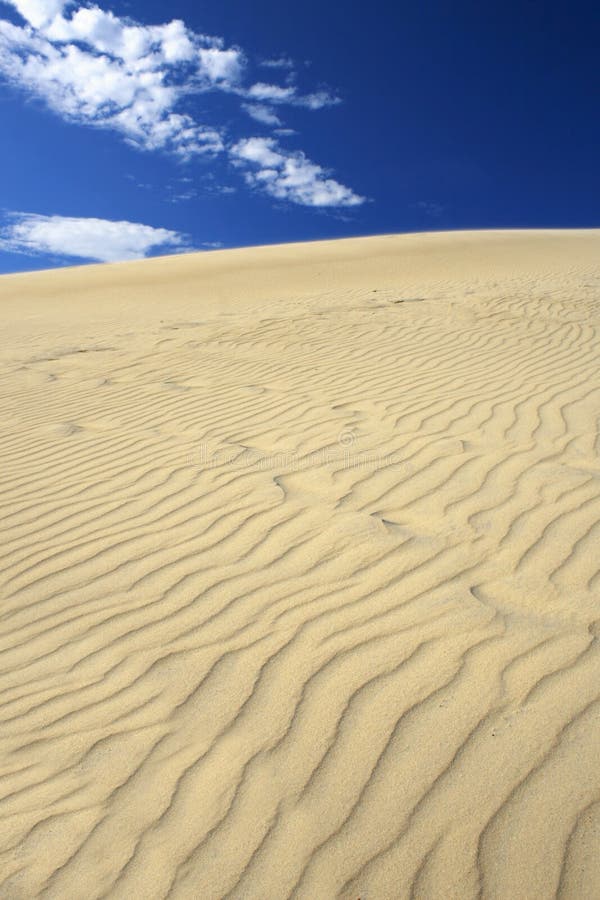 Sand Dunes Vertical View Picture. Image: 3696938