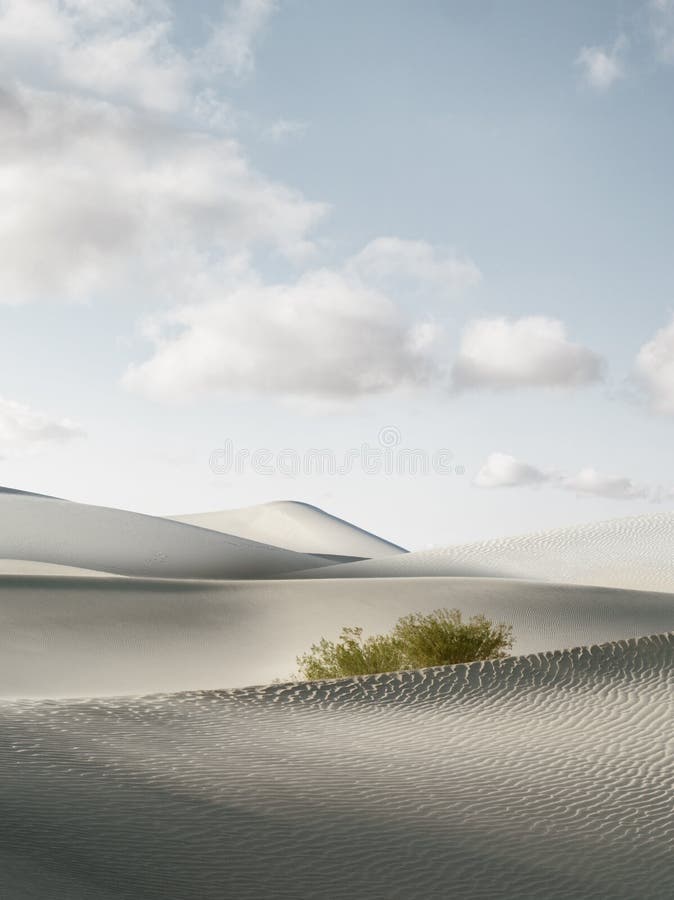 Sand dunes stock photo. Image of nature, outdoor, dune - 60659284