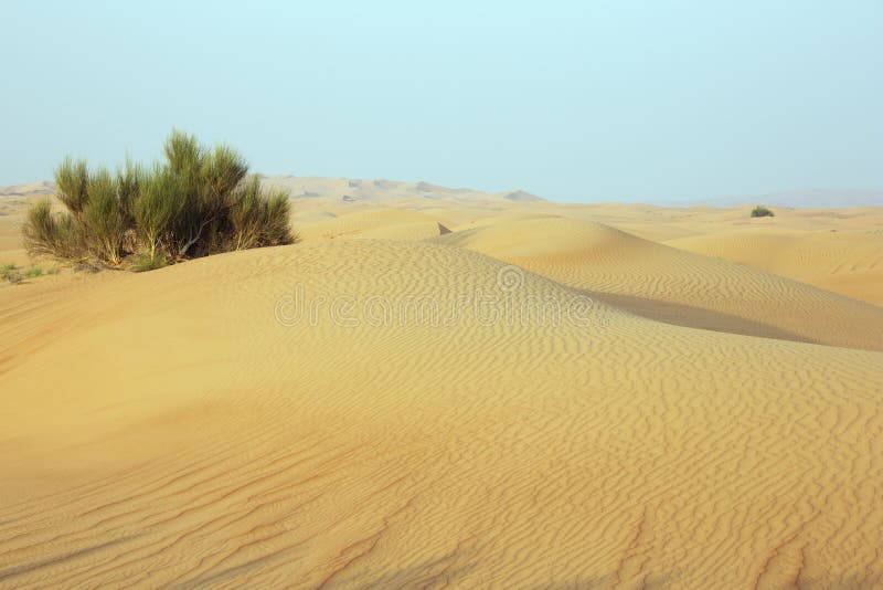 705 Wind Marks Stock Photos - Free & Royalty-Free Stock Photos from ...