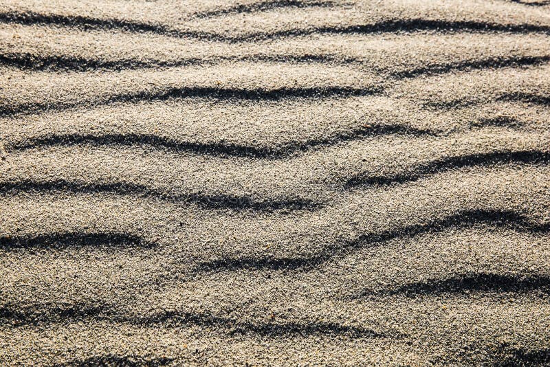 Sand Dunes. Wind Pattern on the Sand, Desert, Dunes. the Texture of the ...