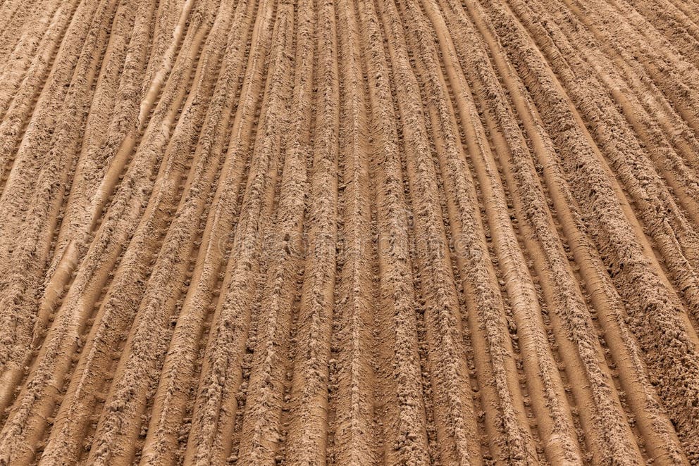 Sand Earth Track Grooves stock photo. Image of lines - 27888138