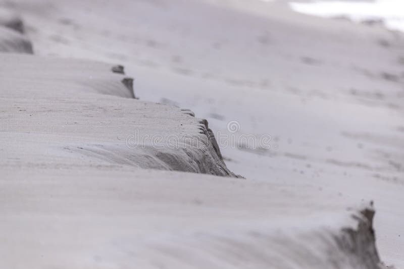 Sand Erosion on Beach, NZ stock photo. Image of sand - 367873656