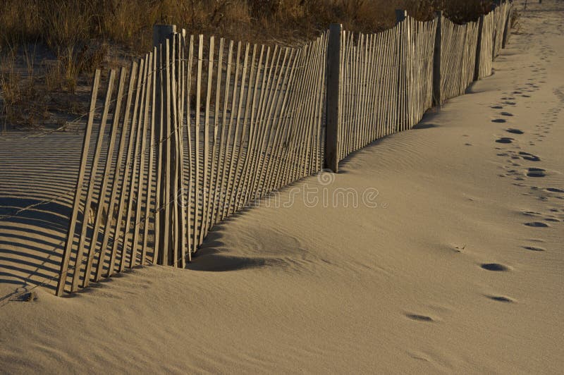 Sand Fence in the Dunes at the Beach Stock Photo - Image of bird ...