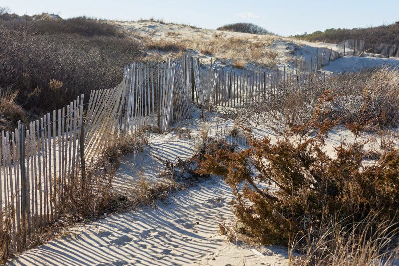 Sand Fence Protecting Dunes from People Stock Image - Image of cliff ...