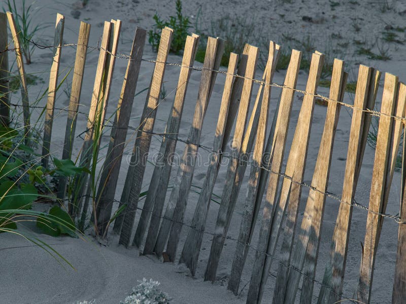 Sand Fencing at Coastal Beach Stock Photo - Image of scenery, beautiful ...