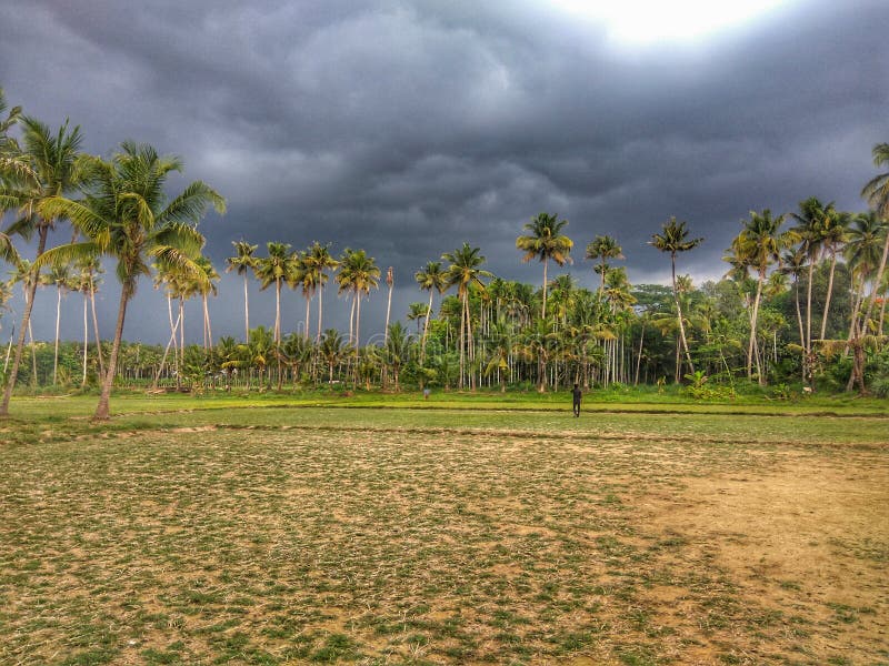 Sand field stock photo. Image of field, fields, ground - 95963034
