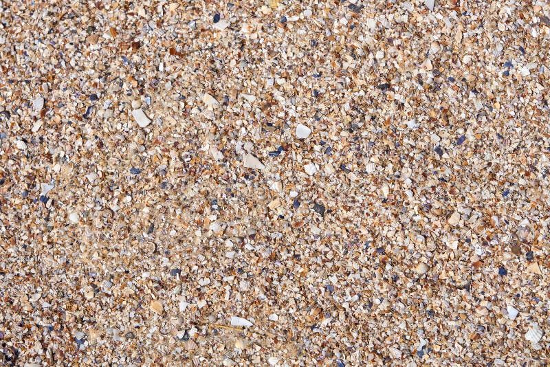 Sand, Fine Stones and Many Different Particles of Crushed Shells Stock ...
