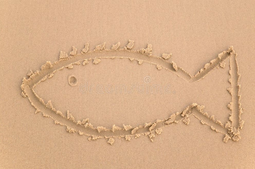 Sand fish stock photo. Image of coastal, simple, seafood - 3066166