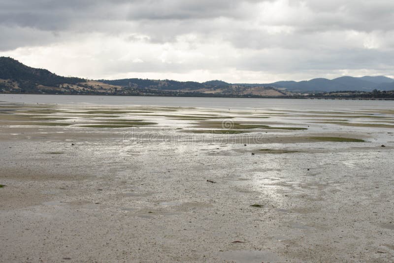 The Sand Flats stock photo. Image of sandflats, weedbeds - 91950232