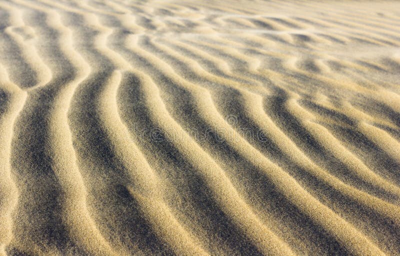 Sand Texture with Floating Sand Across Stock Image - Image of desert ...