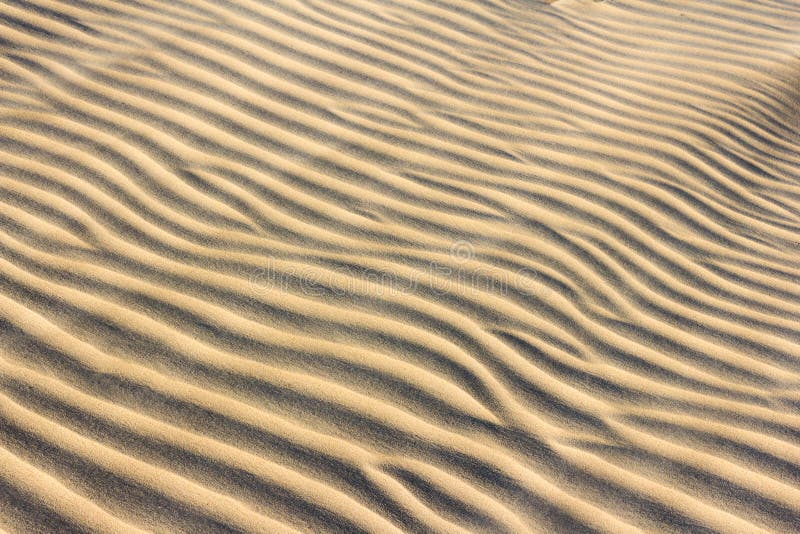 Sand Texture with Floating Sand Across Stock Photo - Image of glide ...