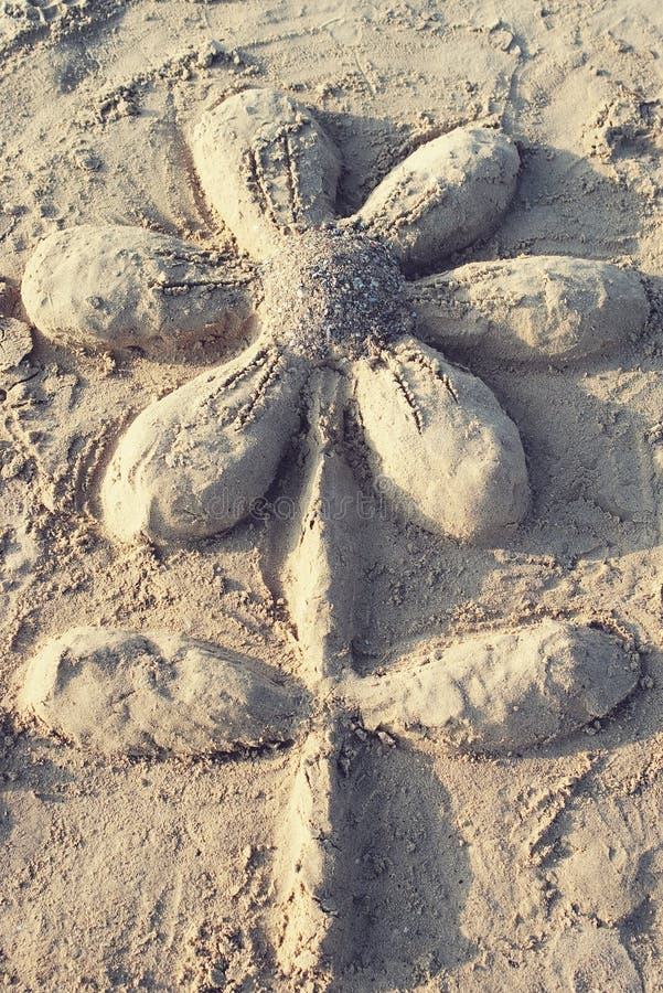 Sand flower stock photo. Image of chamomile, crushed - 10592188