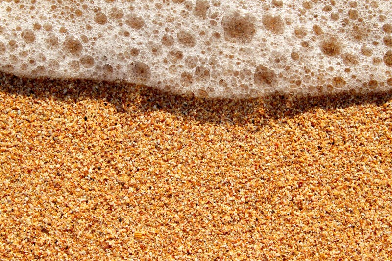 Sand and foam stock image. Image of coast, beauty, shore - 209035097