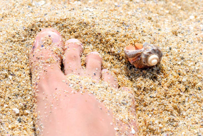 Sand foot shell stock photo. Image of race, male, shore - 76508284