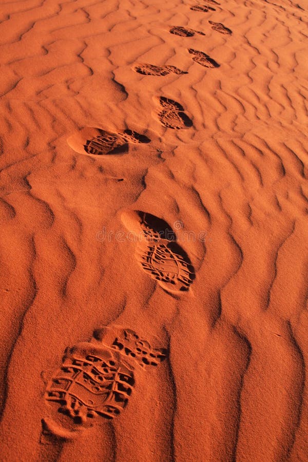 Footsteps in the Sahara Desert Stock Image - Image of desert, egyptian ...