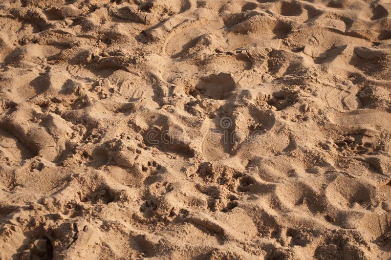 Sand with Footsteps Texture Stock Image - Image of collage, rock: 64078981