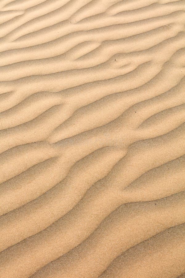 Sand Formations Looking Like Dunes Stock Image - Image of tropical ...