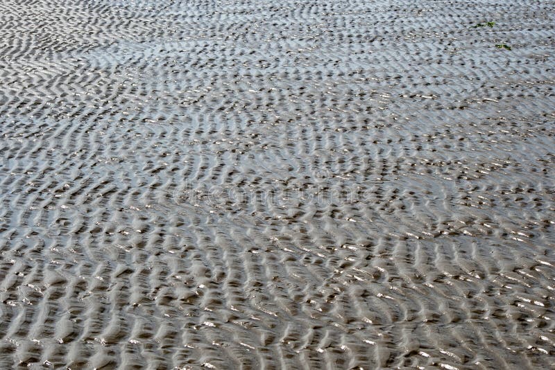 Sand Formed by Water and Wind on the North Sea Stock Photo - Image of ...