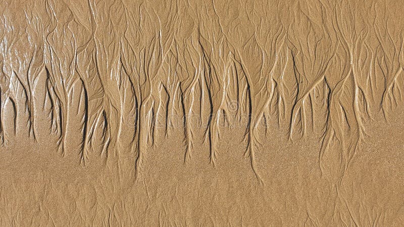 Sand Forming Paths at Low Tide. Stock Photo - Image of sand, forming ...