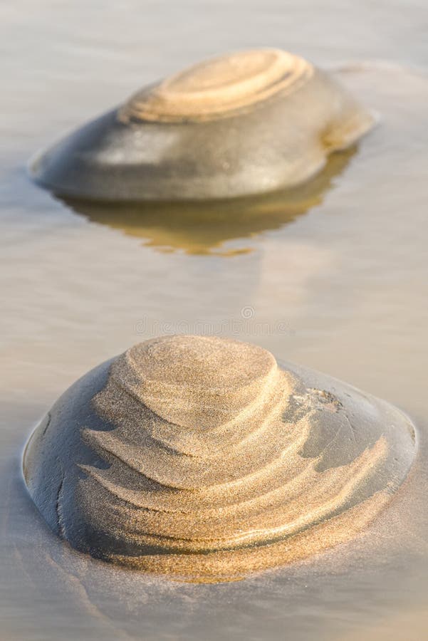 Sand Forms Abstract Shape on the Rocks As the Tide Goes Out Stock Photo ...