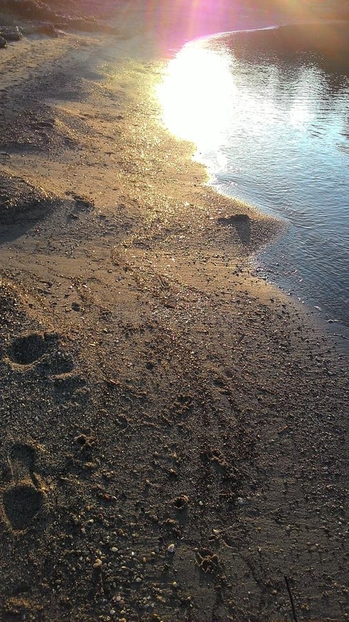 Sand gold stock image. Image of trace, gold, sand, sunlight - 54575645